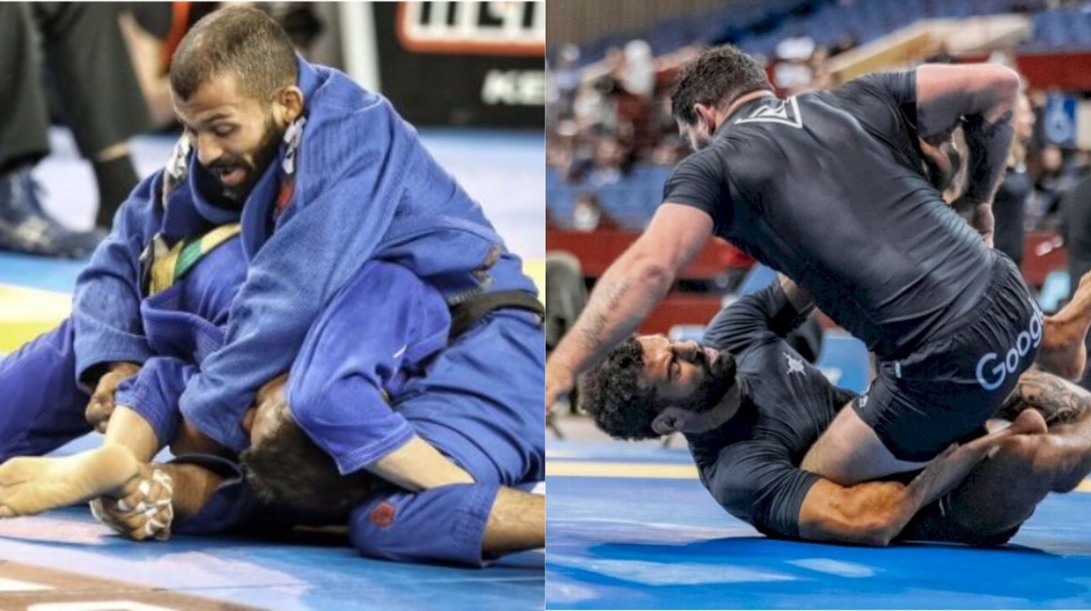 BJJ Fanatics Ultimate Buying Guide - JiuJitsu News