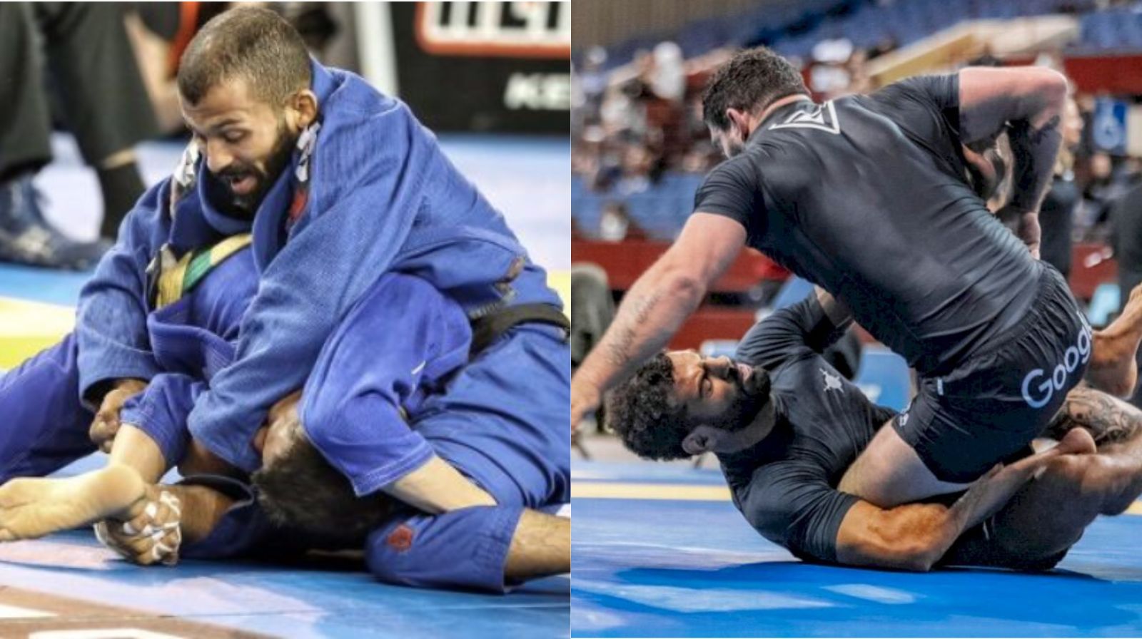 BJJ Fanatics Ultimate Buying Guide - JiuJitsu News