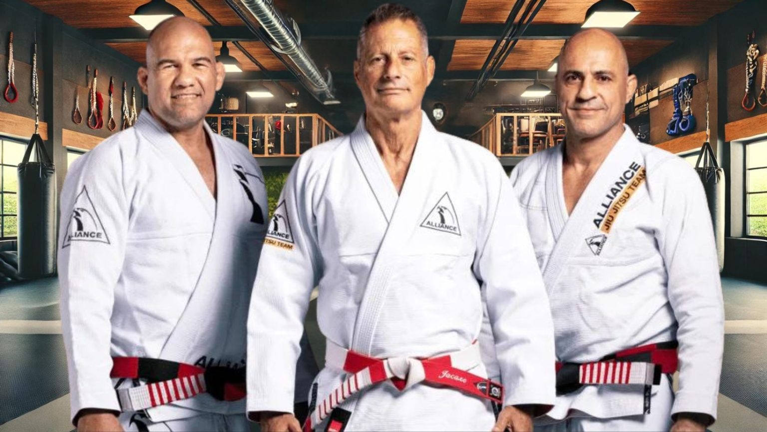 The Different Colored Belts in Brazilian Jiu-Jitsu: A Comprehensive Guide! - JiuJitsu News