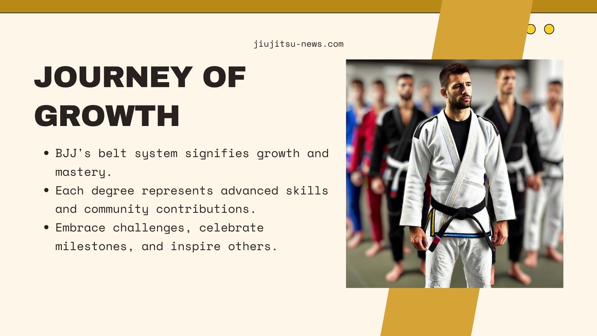 Black Belt Degrees in Brazilian Jiu-Jitsu: What You Need to Know ...
