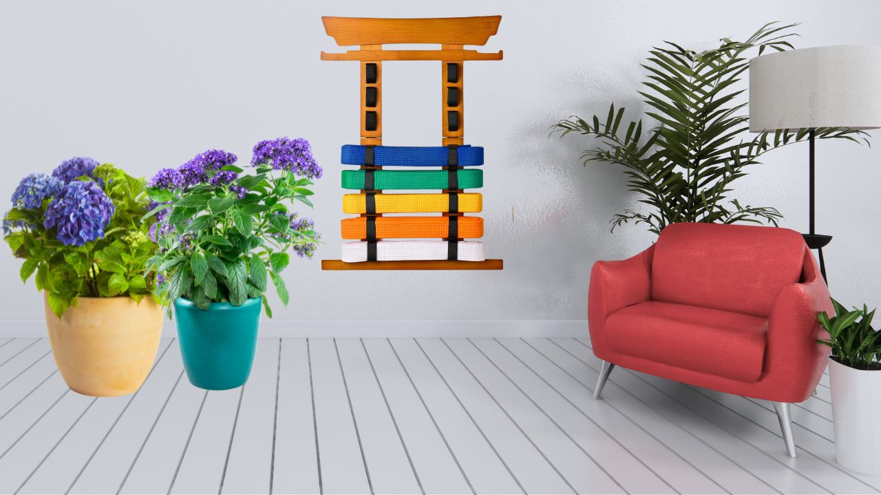 Creative BJJ Belt Display Ideas That Tell Your Story! - Jiujitsu News