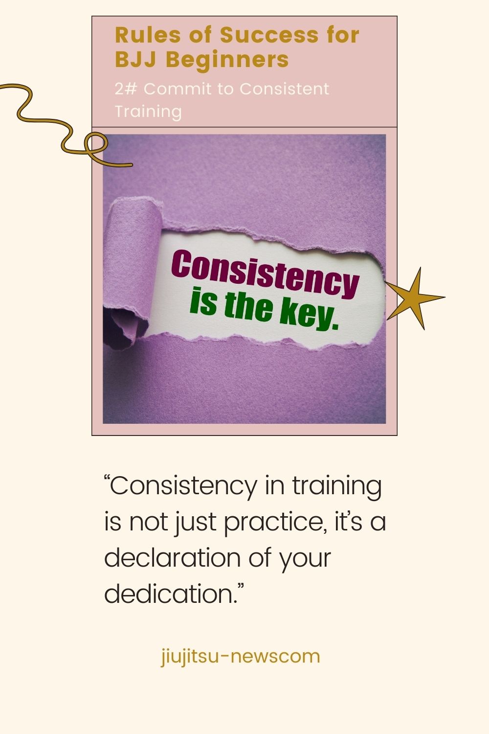 10 Essential Rules of Success for BJJ Beginners - JiuJitsu News