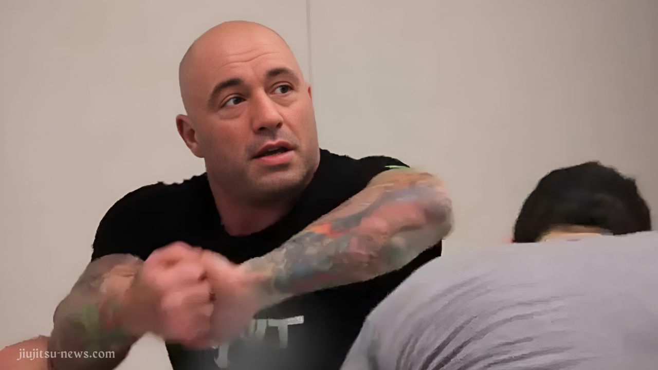 Elite 10 Celebrities Who Practice Brazilian Jiu-Jitsu! - JiuJitsu News