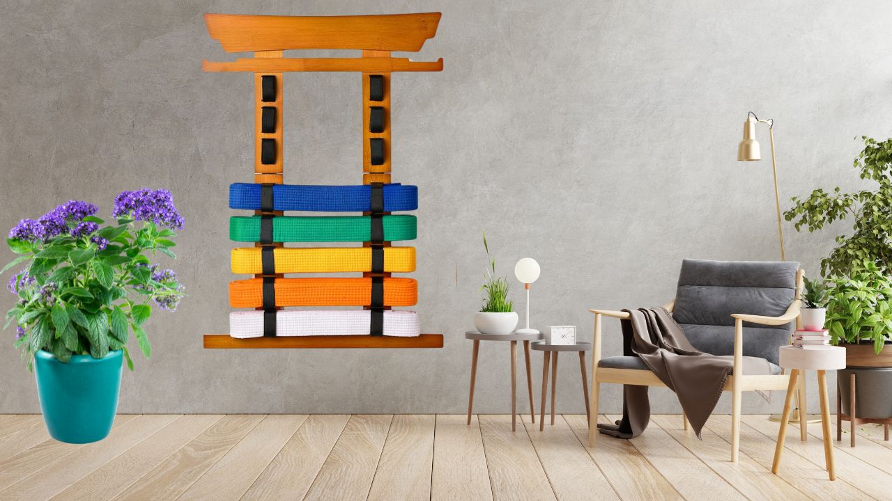 Creative BJJ Belt Display Ideas That Tell Your Story! - JiuJitsu News