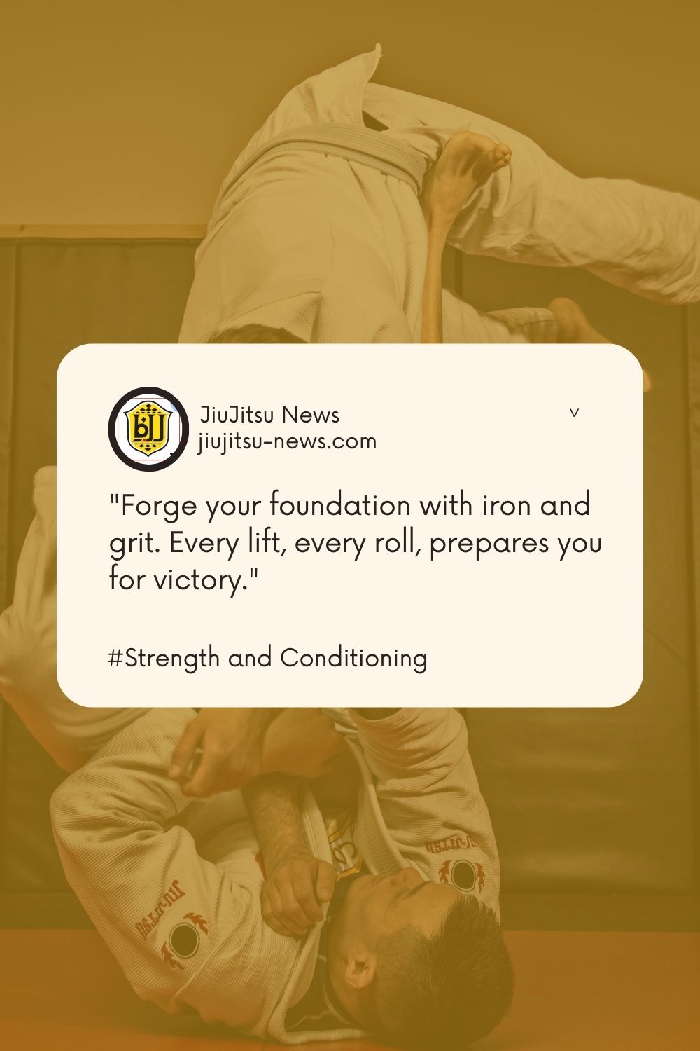 BJJ Training Program for Building Muscle: The Foundation for Strength ...
